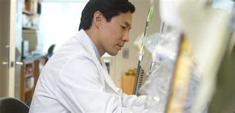 Division Of Hematology And Medical Oncology Nyu Langone Health