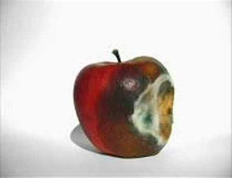 10 Facts About Decomposition Fact File