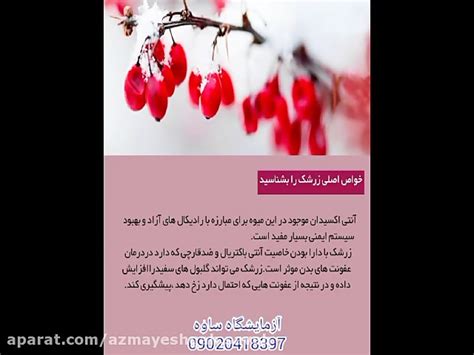 خواص درمانی زرشک آزمایشگاه ساوه 09020418397
