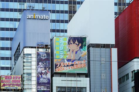 ﾂﾙﾐﾛﾎﾞ On Twitter 「アニメイト秋葉原2号館」旧とらのあな秋葉原店bビルに本日オープン。1、3〜5階が書籍フロア