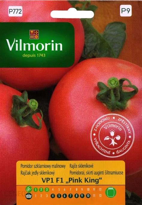 Pomidor Malinowy Vp1 Pink King 15n 1500 Zł Nasiona Holenderskie