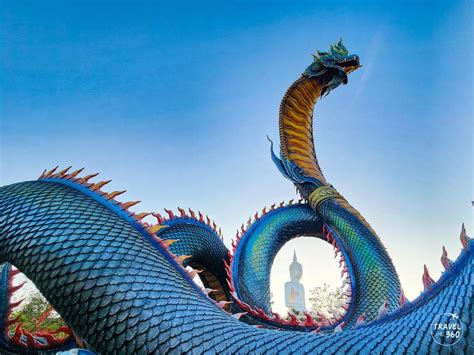 สักการะ “องค์พญาศรีมุกดามหามุนีนีลปาลนาคราช” ยลพญานาคสุดอลังการแห่ง “ภูมโนรมย์” มุกดาหาร