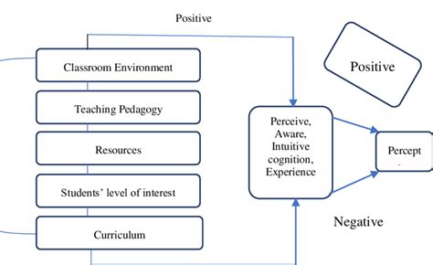 Diagram Representing How The Perception Is Developed Download