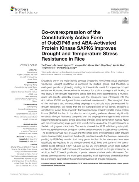 Pdf Co Overexpression Of The Constitutively Active Form Of Osbzip46