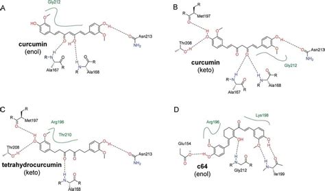 Predicted Binding Modes Of Representative Compounds With The Ssdna