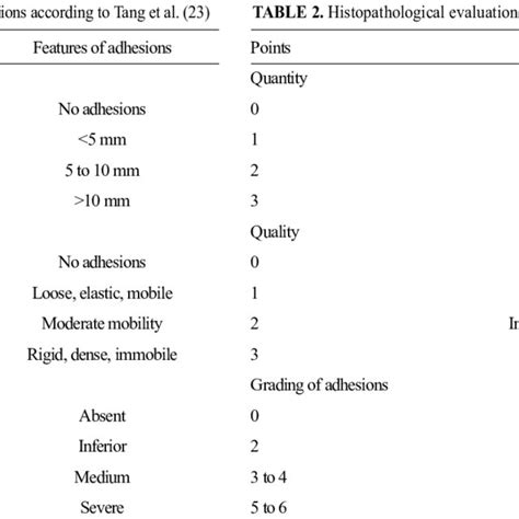Macroscopic Grading System For Adhesions According To Tang Et Al 23
