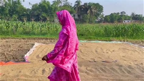 ঘরে ঘরে নতুন ধানের উৎসবে মেতেছে সবাই।arha Green Vlog Youtube