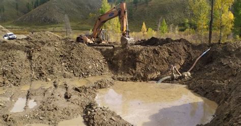 Цемент Шохой ТӨХК 6 га газарт дүйцүүлэн хамгаалах нөхөн сэргээлт хийжээ