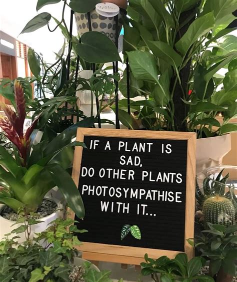 28 Best Plant Quotes And Sayings That Will Inspire You Preet Kamal
