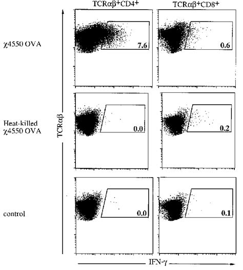 Both Cd4 And Cd8 Salmonella Specific Ifn Secreting T Cells Are Elicited