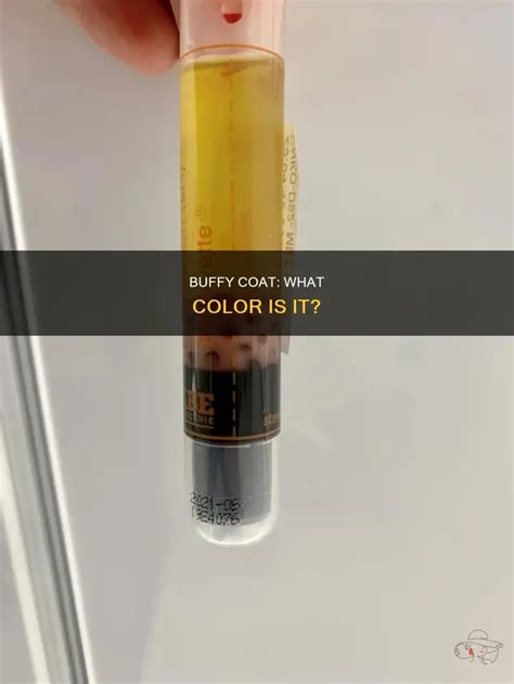 Buffy Coat What Color Is It Shunvogue