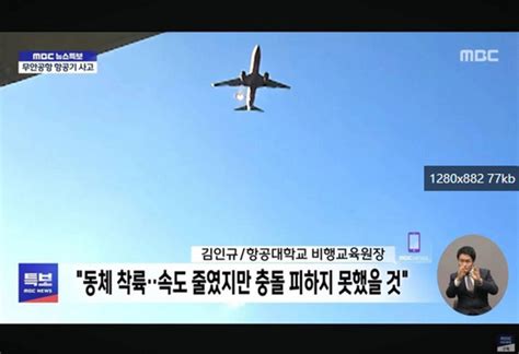 鸟击导致韩国客机事故？航空专家质疑凤凰网