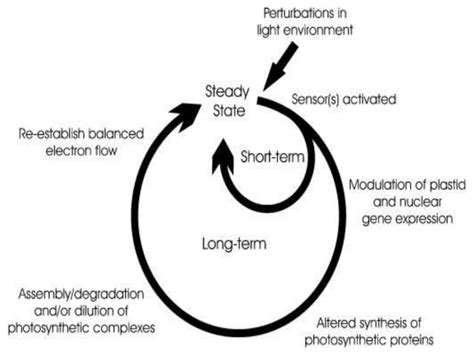 Theories Explaining The Origin Of The Universe Pptx Space And