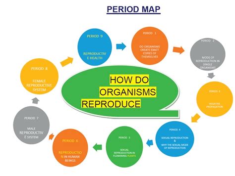 Cbse 10th Biology How Do Organisms Reproduce Lesson Plans Period Plans