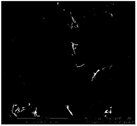 Preparation Of Core Shell Structure Composite Material As Well As Method For Constructing Tissue