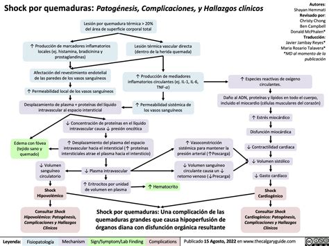Shock por quemaduras Patogénesis Complicaciones y Hallazgos clínicos