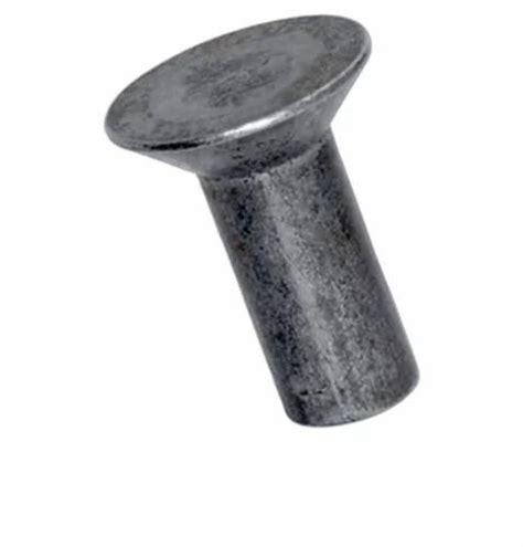 Material Stainless Steel Flat Head Counter Sunk Rivet At Rs 92 Piece In Ludhiana