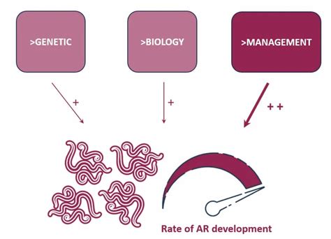 What Are The Main Causes Behind The Development Of Anthelmintic