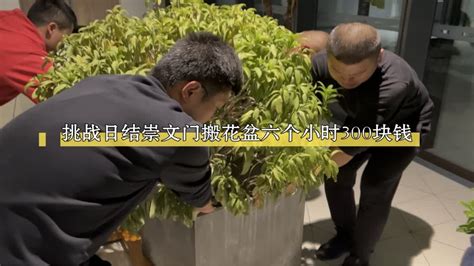 挑战日结崇文门搬花盆6个小时300块钱。 Youtube