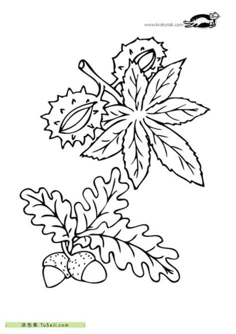 10张草莓太阳瓢虫大树花朵孩子们最爱的涂色简笔画图纸！ 涂色集，涂色画打印大图
