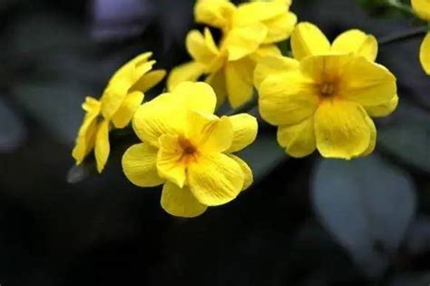 周末，财富和爱情就像雨后春水飘洒一般，三星座即将迎来一场人生的双赢盛宴！天秤座双子座财运