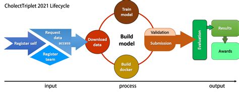 Cholectriplet2022 Surgical Action Triplet Detection Medical Imaging