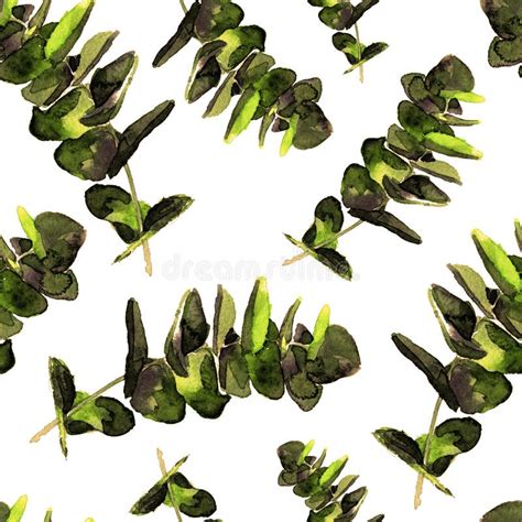 Eucalyptus Greenery Leaves Seamless Pattern Stock Illustration