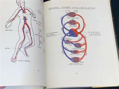 Medicine Illustrated Phisiology By Ann B Mcnaught And Robin Callander 1973 For Sale In Cape