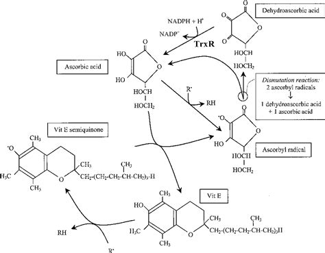Thioredoxins Semantic Scholar