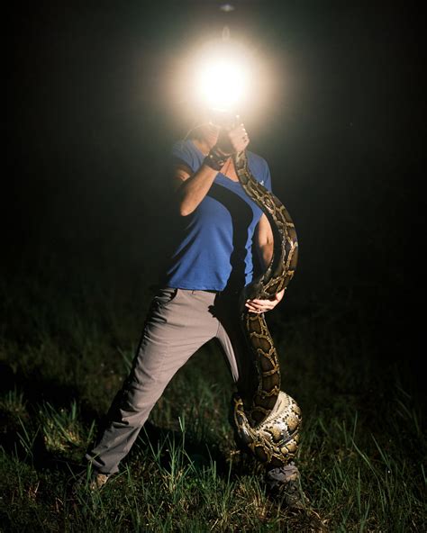 Her Livelihood Hunting Pythons In The Dead Of Night The New York Times