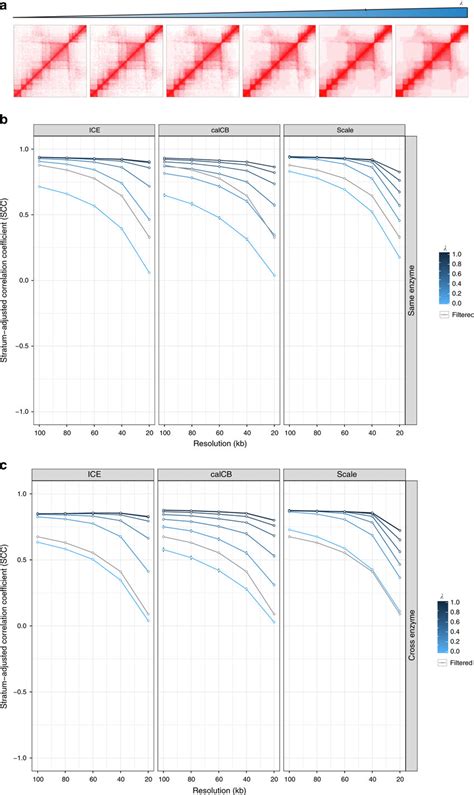 Fused Two Dimensional Lasso Improves Reproducibility Of Hi C Contact