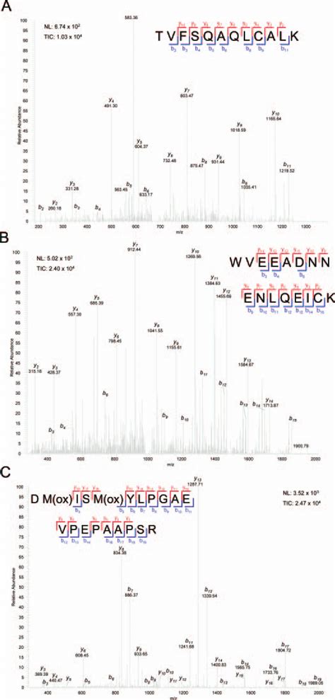 Fragmentation Spectra Of Master Stem Cell Regulators A One Of The