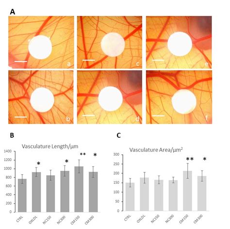 Chick Chorioallantoic Membrane Cam Angiogenesis Assay Creative