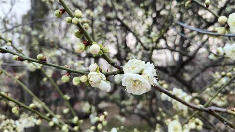 基于注解实现新增 编辑数据时的重复数据校验 知乎
