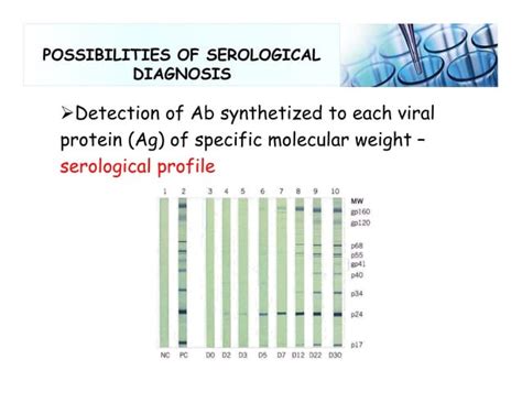Serological Test For Virus Identification Pptx
