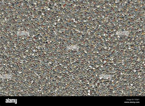 With Oyster Shells And Asphalt Driveways Louisville Fossils And