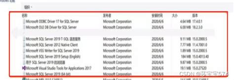图文讲解完全卸载sql server2019的完整步骤 mssql 脚本之家