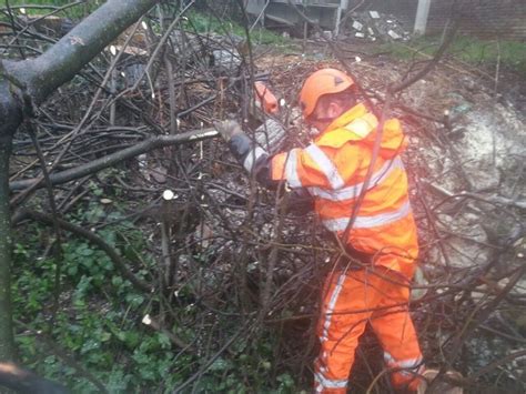 Poda En Altura Lanbert Trabajos Verticales Y En Altura
