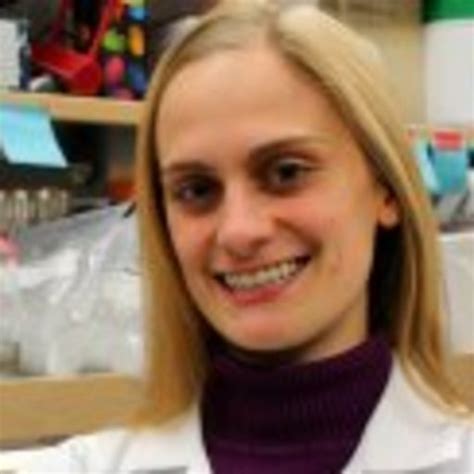 Anne Cherry Alumna Harvard University Ma Harvard Department Of