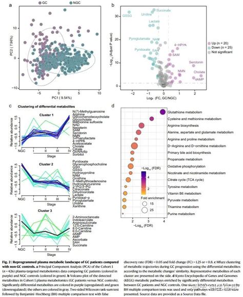 用于胃癌诊断和预后的代谢组学机器学习预测器 知乎