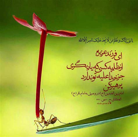 امام زین العابدین وصیتی با امام محمد باقر