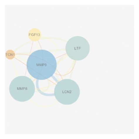 the protein protein interaction ppi networks based on the screened