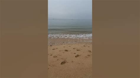 파도소리 Youtube