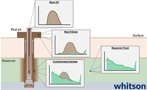 Decontamination Whitsonᴾⱽᵀ User Manual