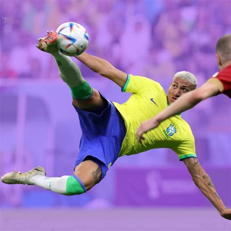 Shonci Instagram Tiktok Twitch Linktree