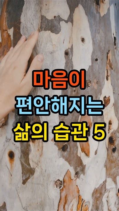 마음이 편안해지는 삶의 습관 5가지 I 삶이 평안해지는 방법 I 내면의 평화를 찾는 법 마음의평화 힐링영상 삶의지혜 평온한삶 감정정리 마음관리 감정안정