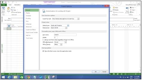 ms project hide summary tasks in task view in project plan