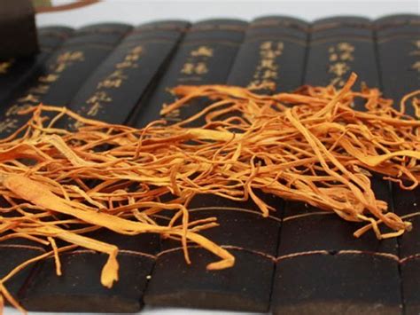 MA28北蟲草 黃金蟲草 600g 藏の寶 旺盛傳奇烏梅 菊花 花旗蔘茶 薄荷 魚腥草 Yahoo奇摩拍賣