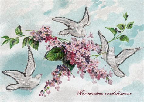 Carte Condoléances Et Colombes Blanches Envoyer Une Carte