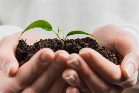 Рециклиране на пластмаси производство на полиетиленови чували за смет